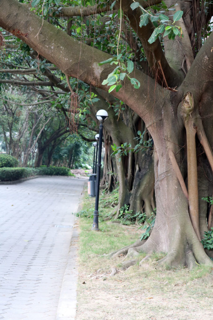 Security in Schools - Ensuring Safe Schools Worldwide | ISS